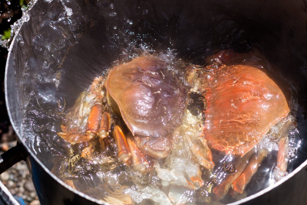 How to Prepare Dungeness Crab - Meg is Well