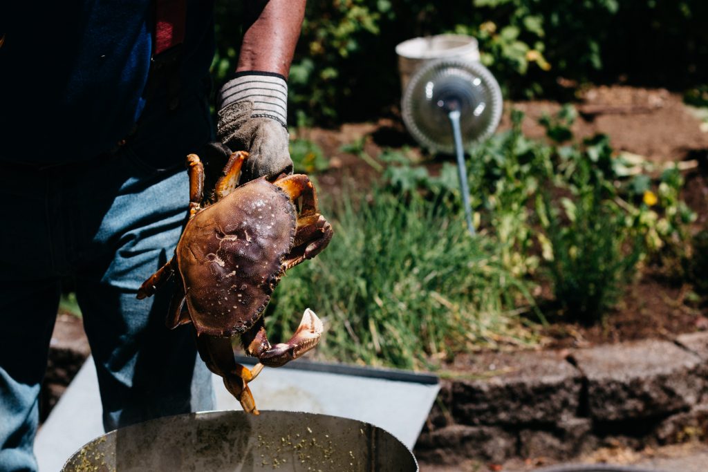 How to Prepare Dungeness Crab - Meg is Well