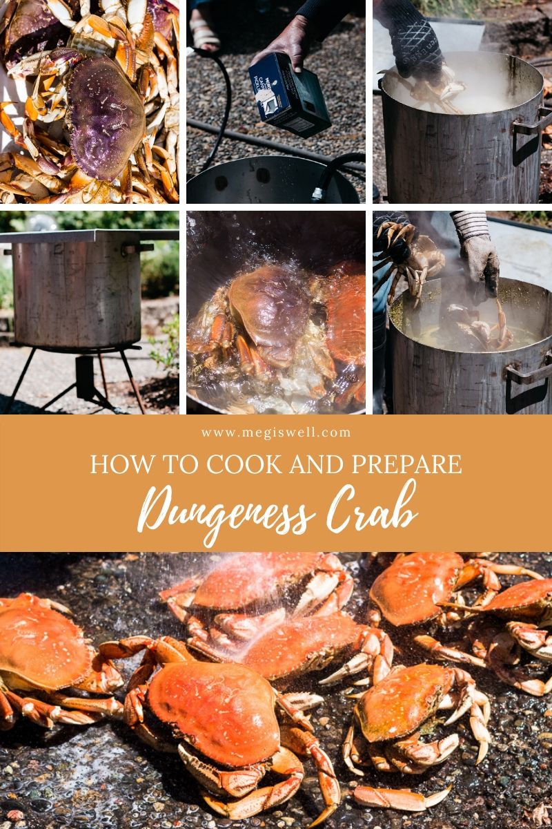 How to Prepare Dungeness Crab - Meg is Well